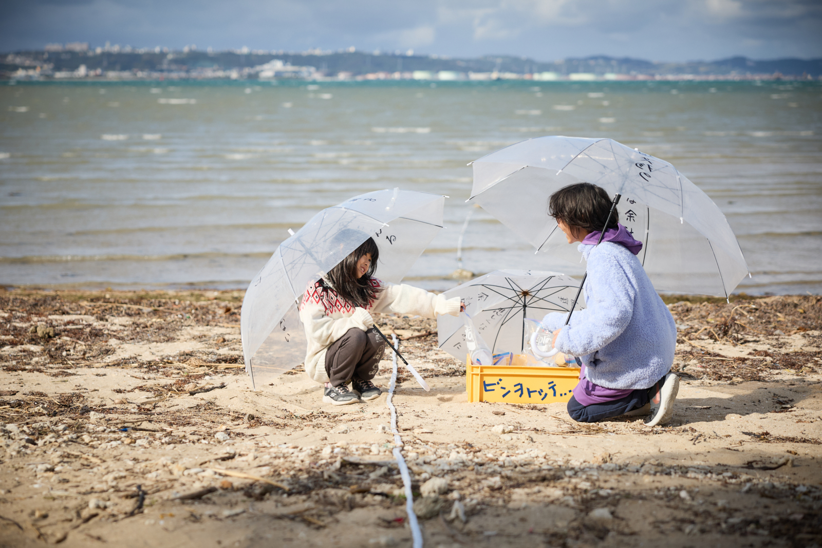 『しまじりアートフェスティバル 2025－やんばるアートフェスティバル POP UP in Nanjo－』開幕 | FANY Magazine