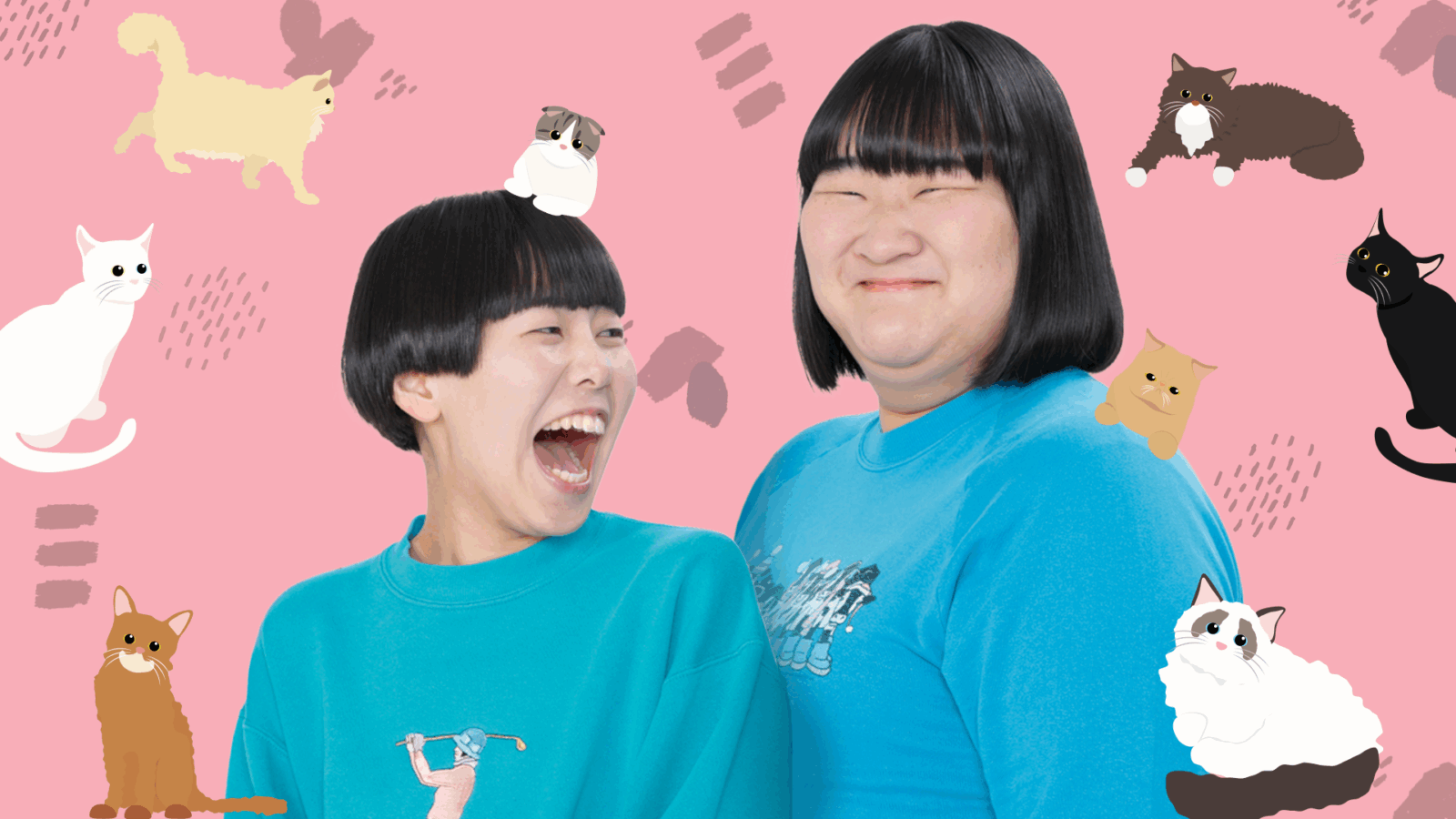 ヨネダ2000が猫だけのライブ配信アプリ「nekochan」で11月6日スペシャル生配信! | FANY Magazine